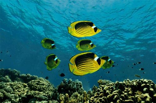 Virtual Reality for High School Education | ClassVR